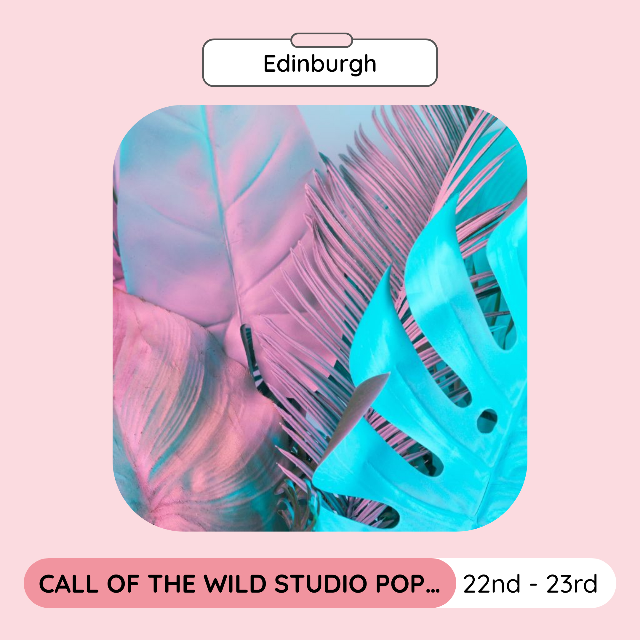 Call of the Wild Studio Pop-Up, Edinburgh, April 2023