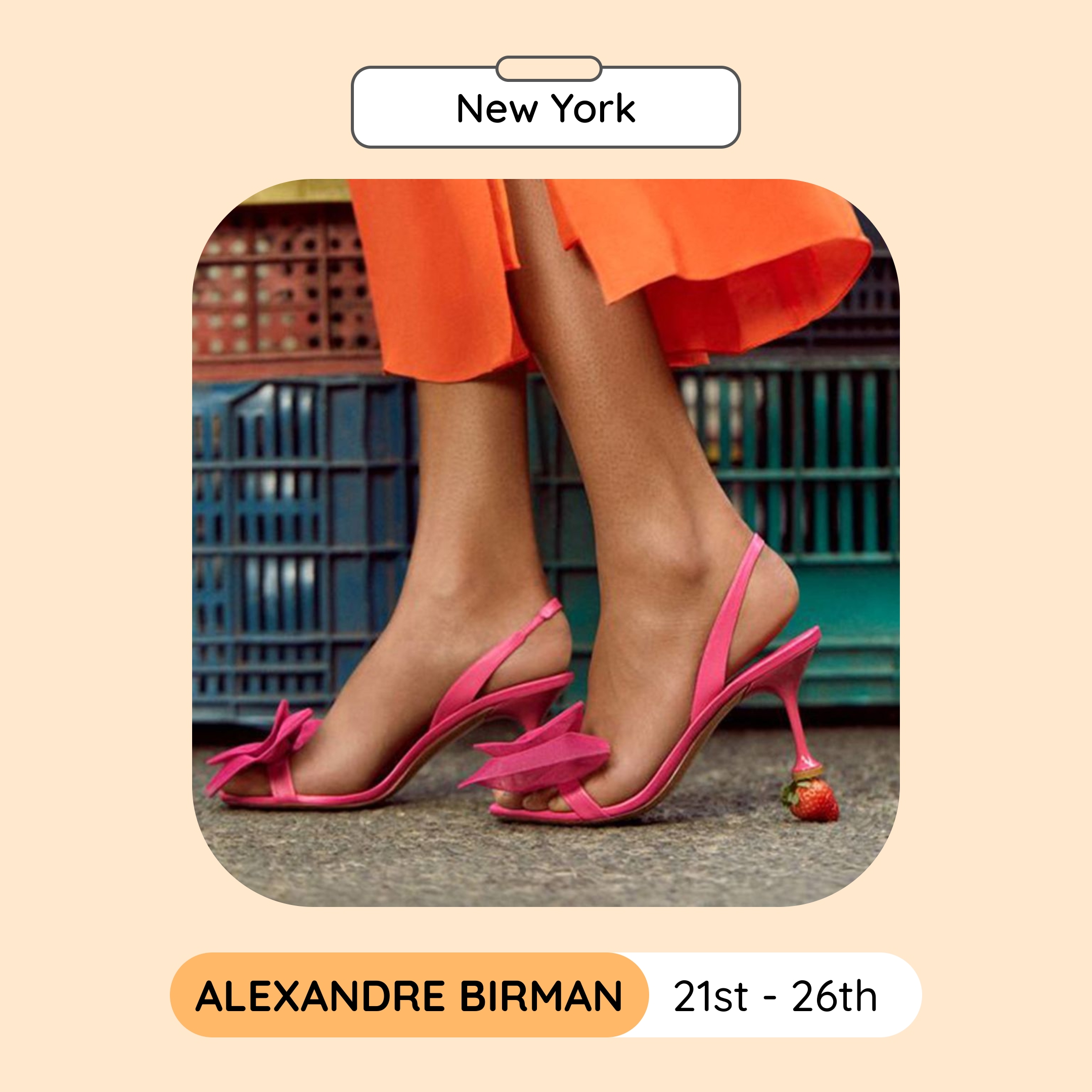 Alexandre Birman Sample Sale, New York, May 2024