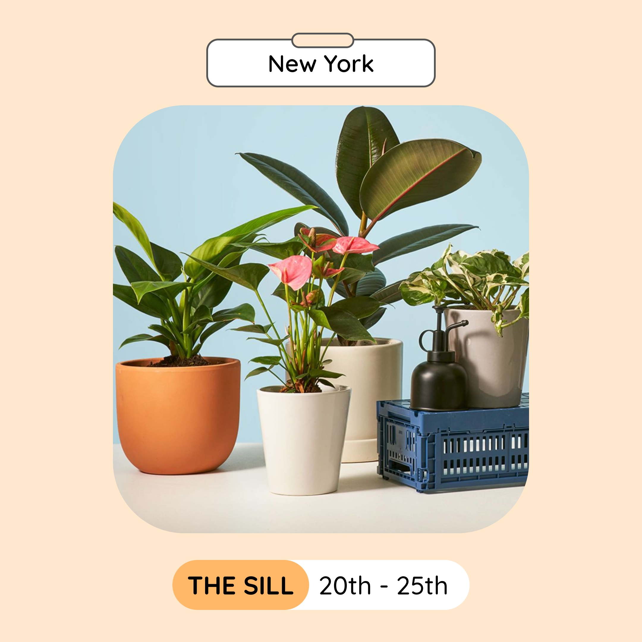 The Sill Sample Sale, New York, August 2024