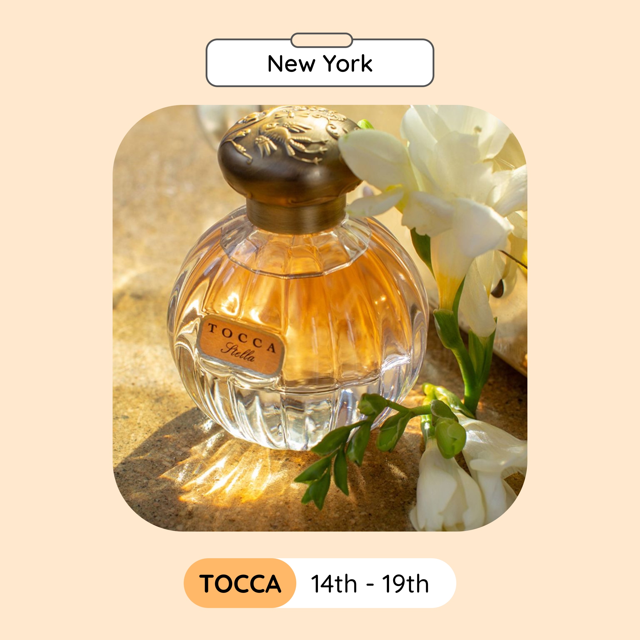 Tocca Sample Sale, New York, January 2025
