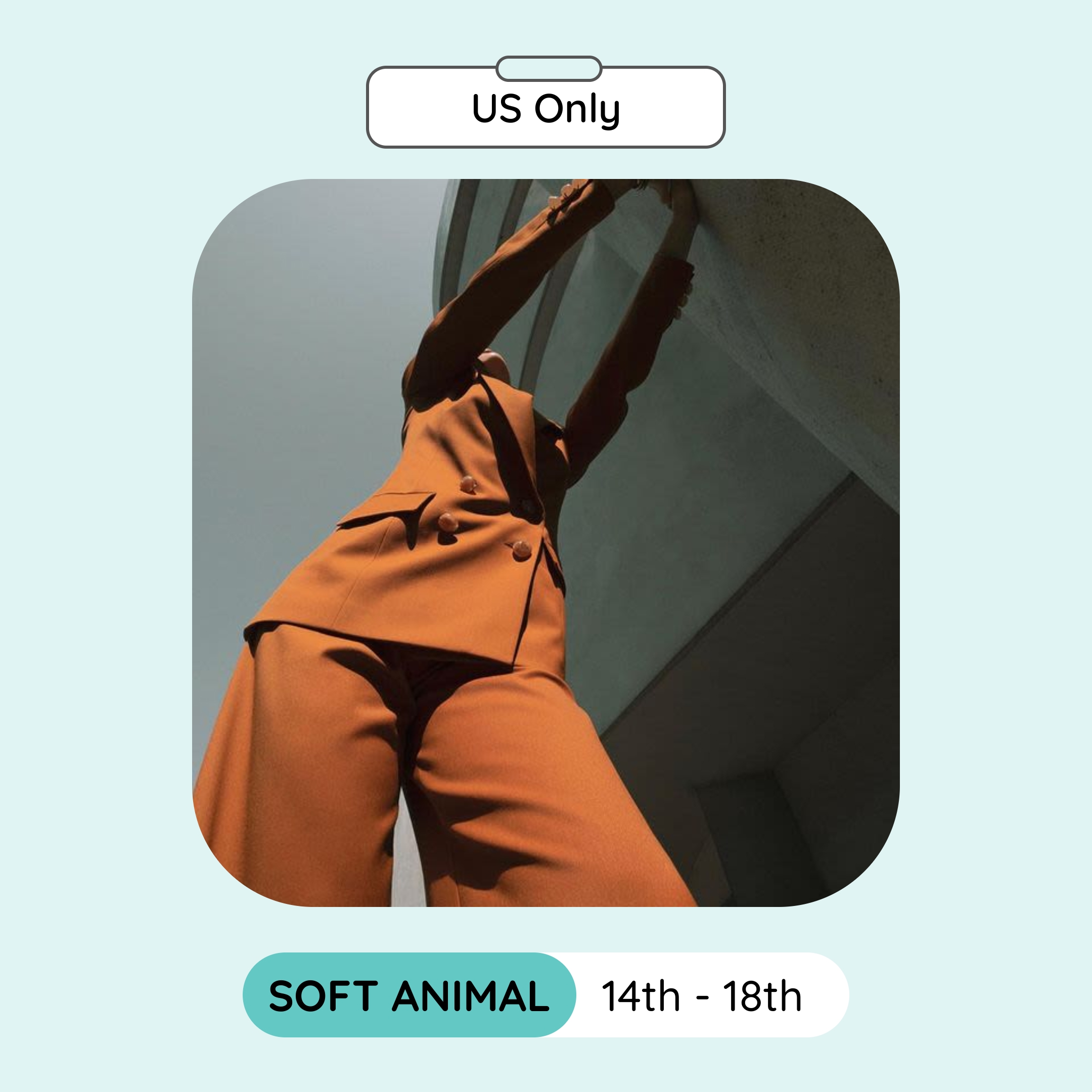 Soft Animal Online Sample Sale